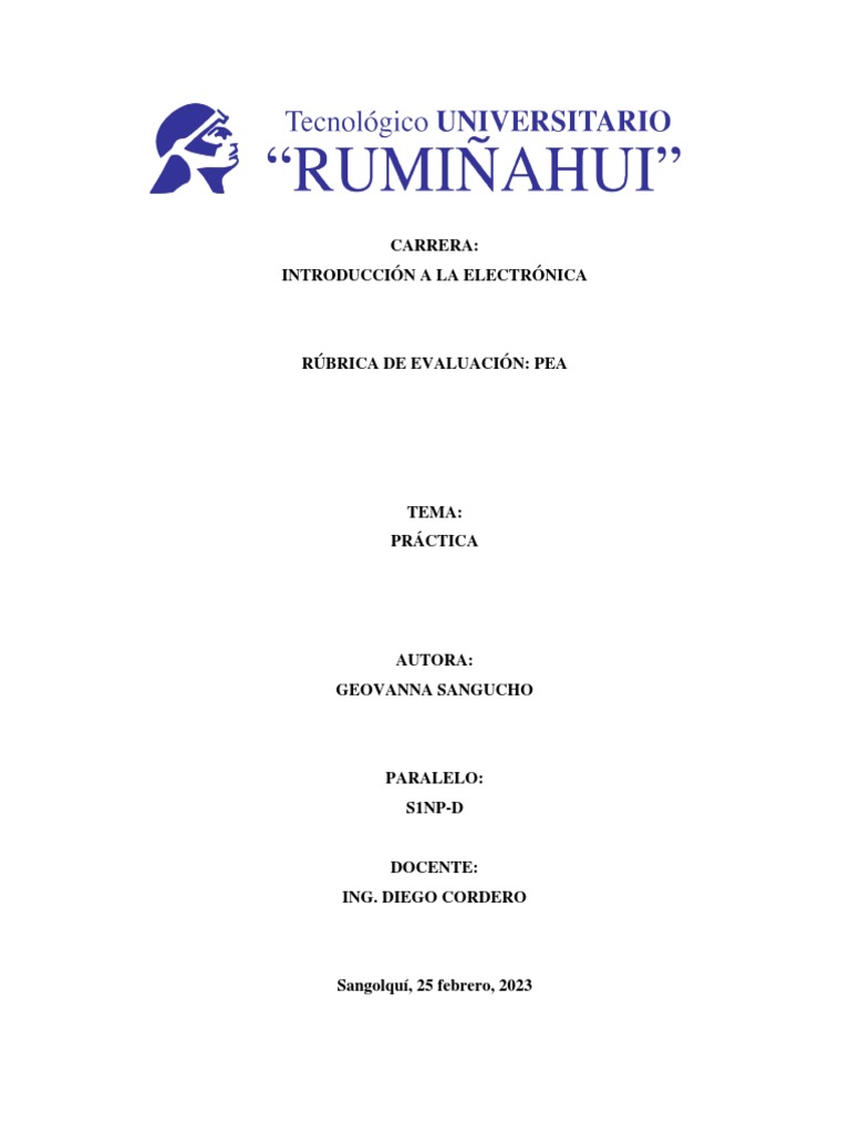 Pea Electronica GS PDF | PDF