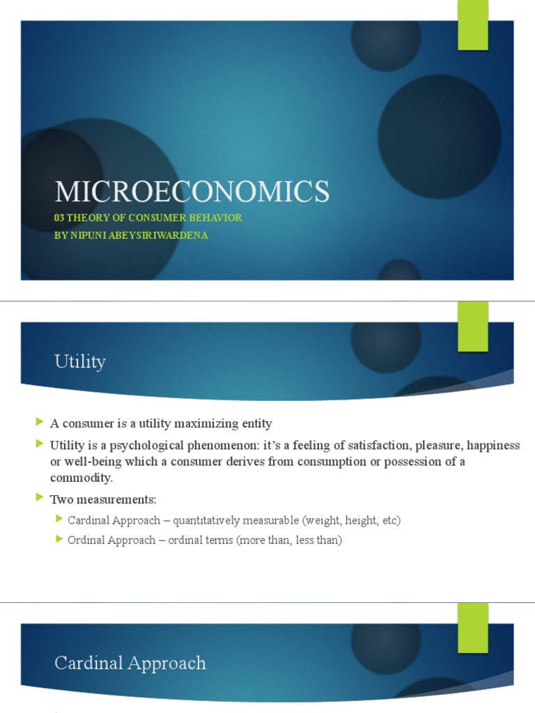 Theory Of Consumer Behavior Pdf Utility Marginal Utility