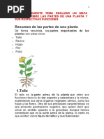 Ficha Partes de La Planta | PDF