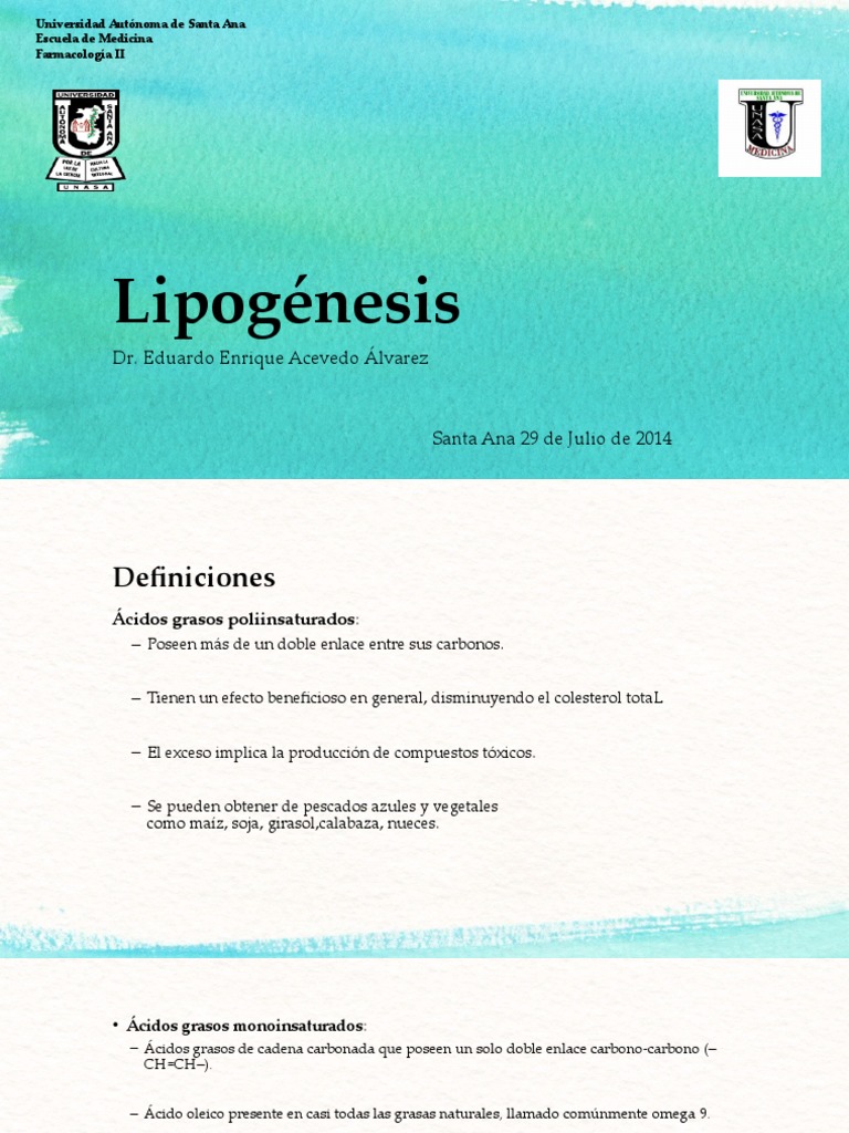 Resumen sobre Lipogénesis y Regulación | PDF | Ácido graso | Lipoproteína