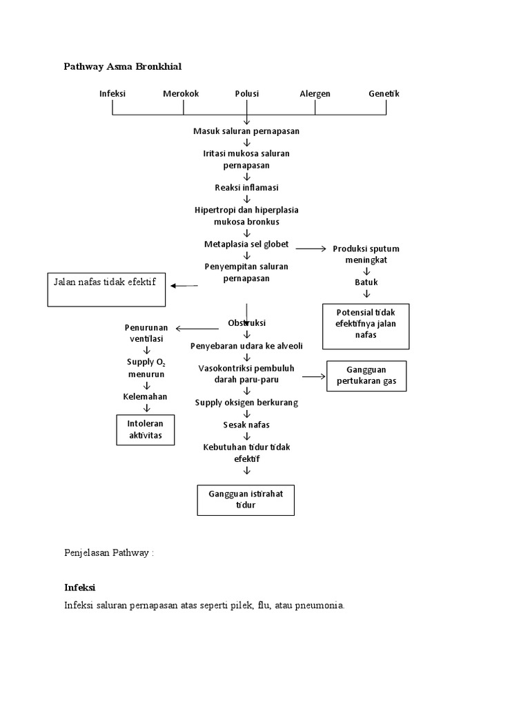 Pathway Asma Bronkhial dan Dampaknya | PDF