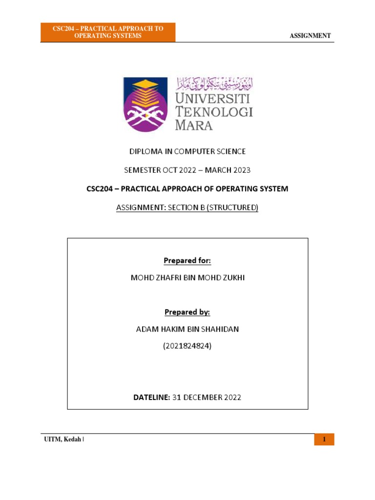 CSC204 - Section B (Structured) | PDF