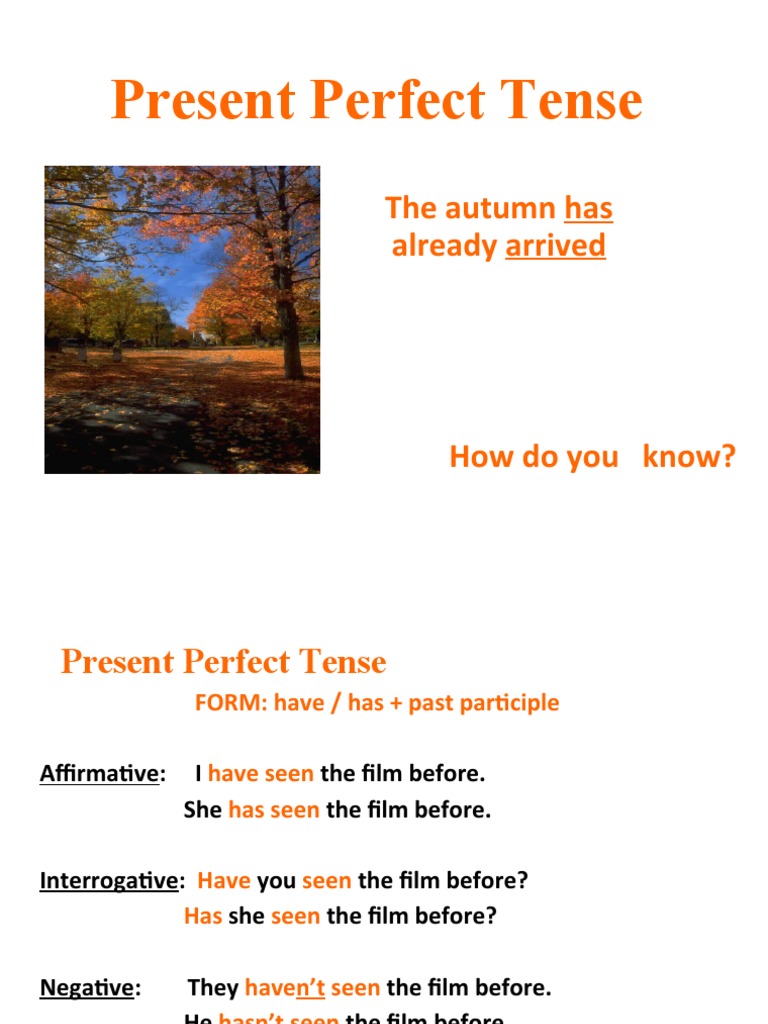 Present Perfect Tense | PDF