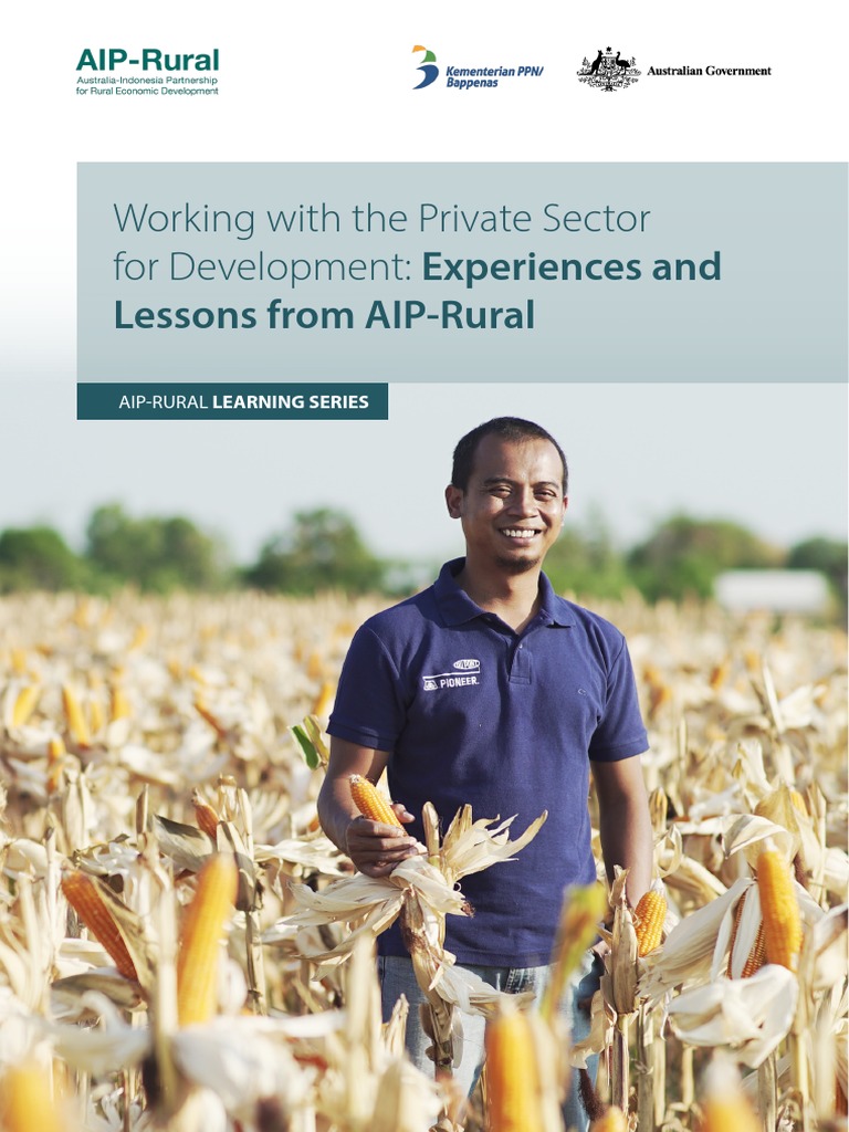 AIP-Rural: Private Sector Development Insights | PDF | Business