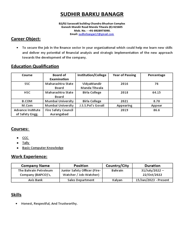SUDHIR BANAGR Resume pdf-1 | PDF