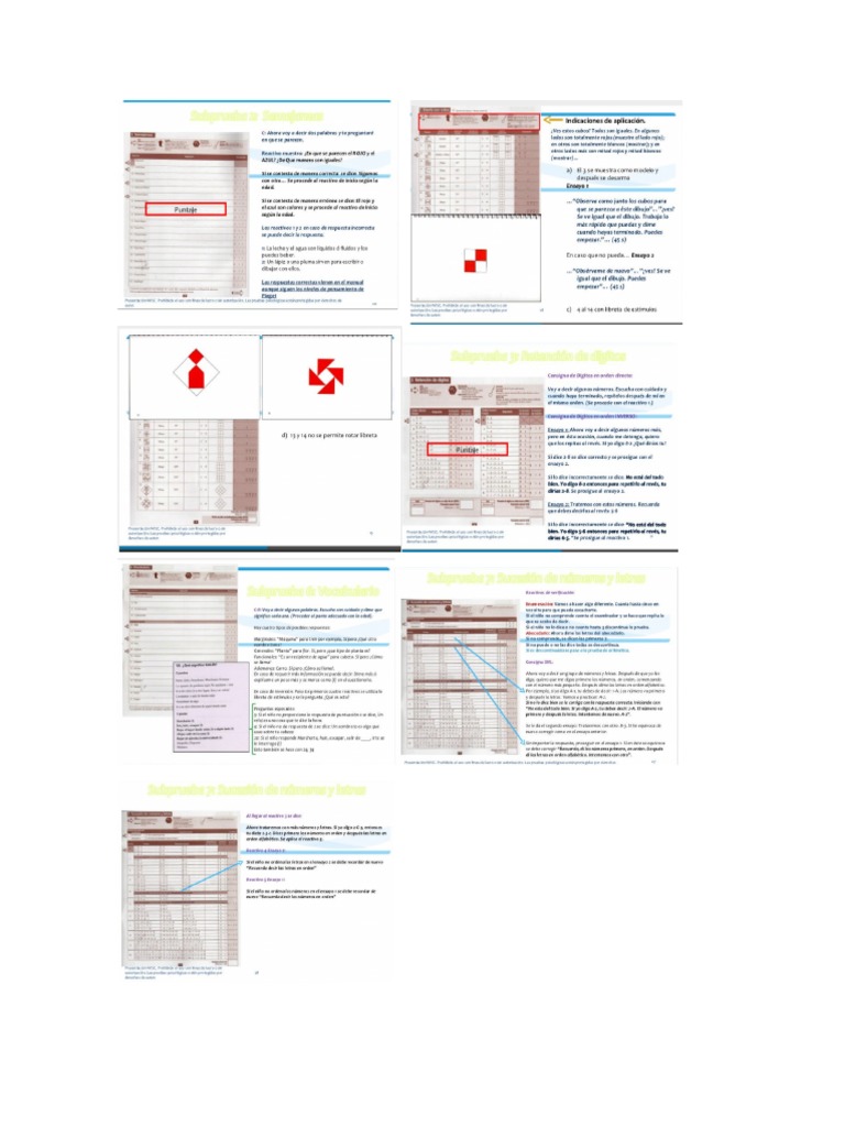 Presentación WISC | PDF