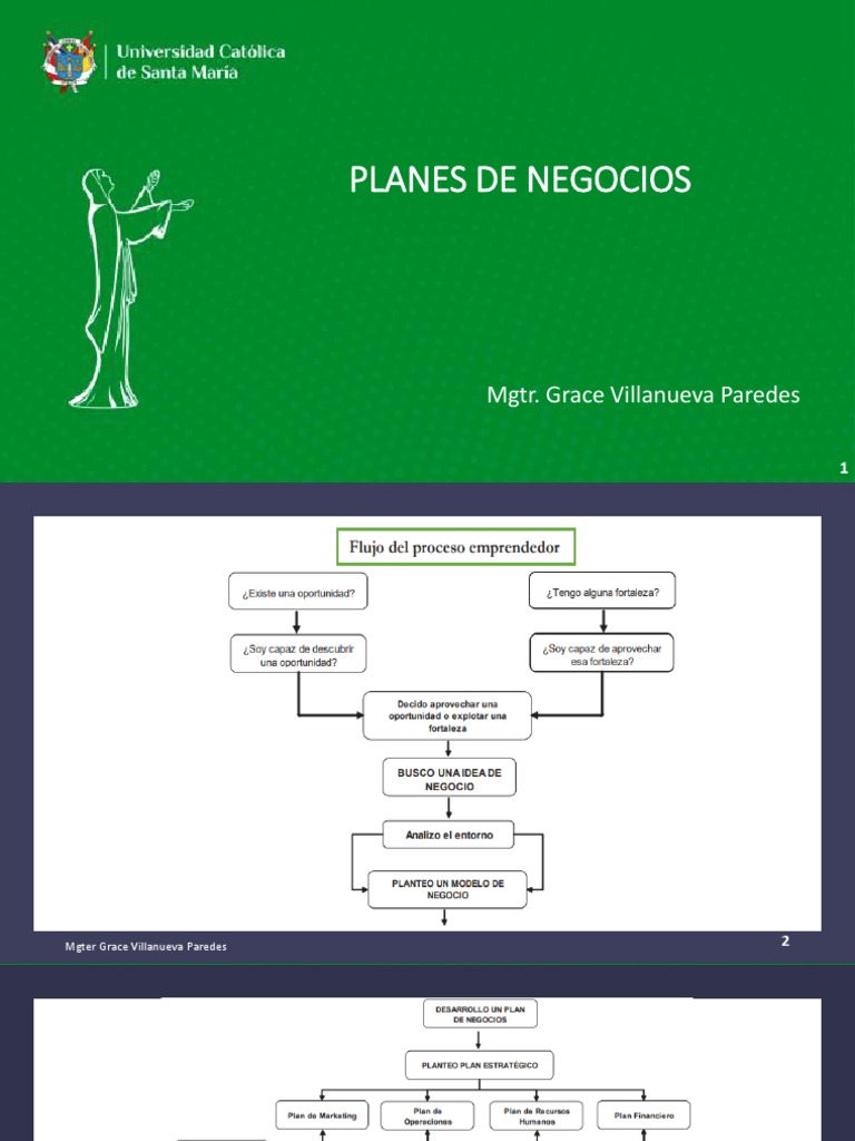 Flujo Del Proceso Emprendedor PDF | PDF