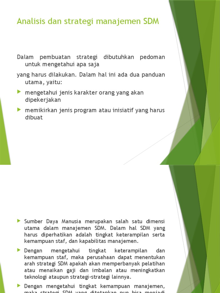TM 2 Analisa Dan Strategi MSDM | PDF