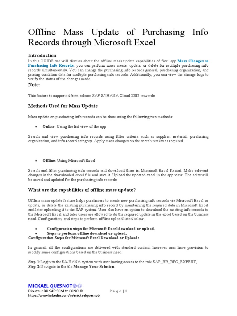 GU - SAP S4 HANA CLOUD - Offline Mass Update of Purchasing Info Records Through Microsoft Excel ...