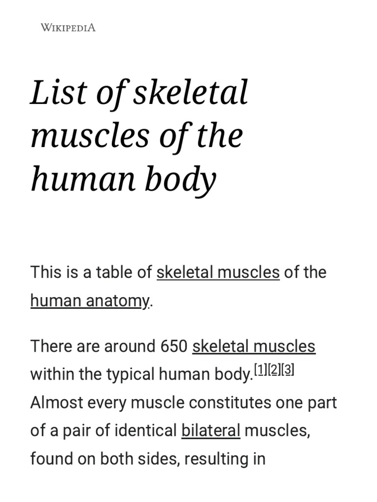 List of Skeletal Muscles of The Human Body - Wikipedia PDF | PDF
