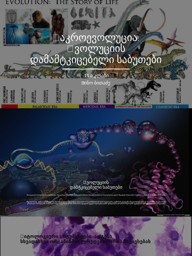 Presentation 41 | PDF