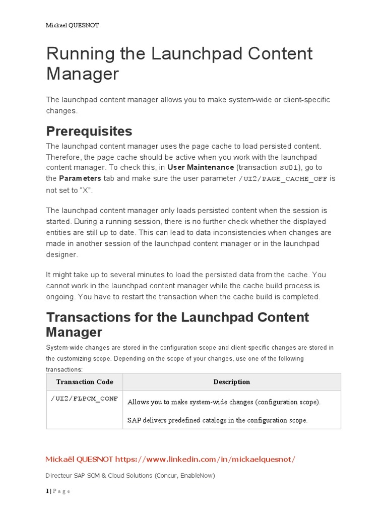 GU - SAP S4 HANA - Running The Launchpad Content Manager | PDF