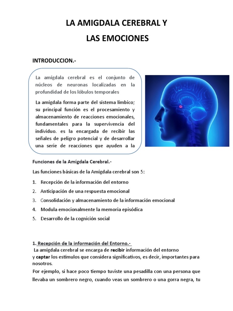 La Amigdala Cerebral y | PDF