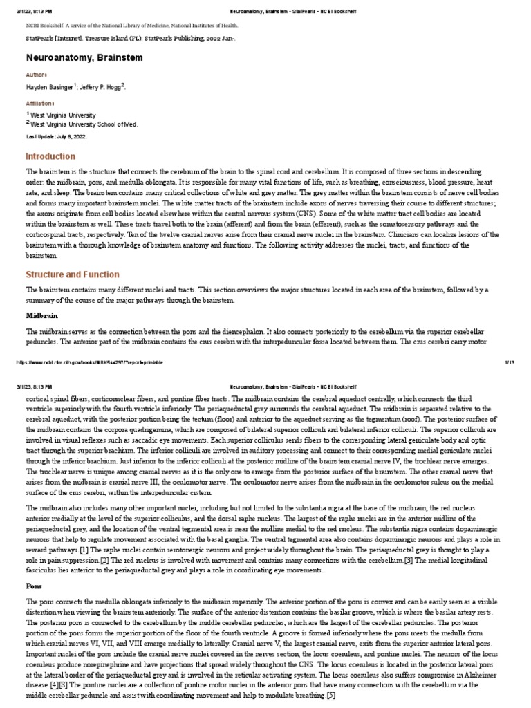 Neuroanatomy, Brainstem - StatPearls - NCBI Bookshelf | PDF | Social ...