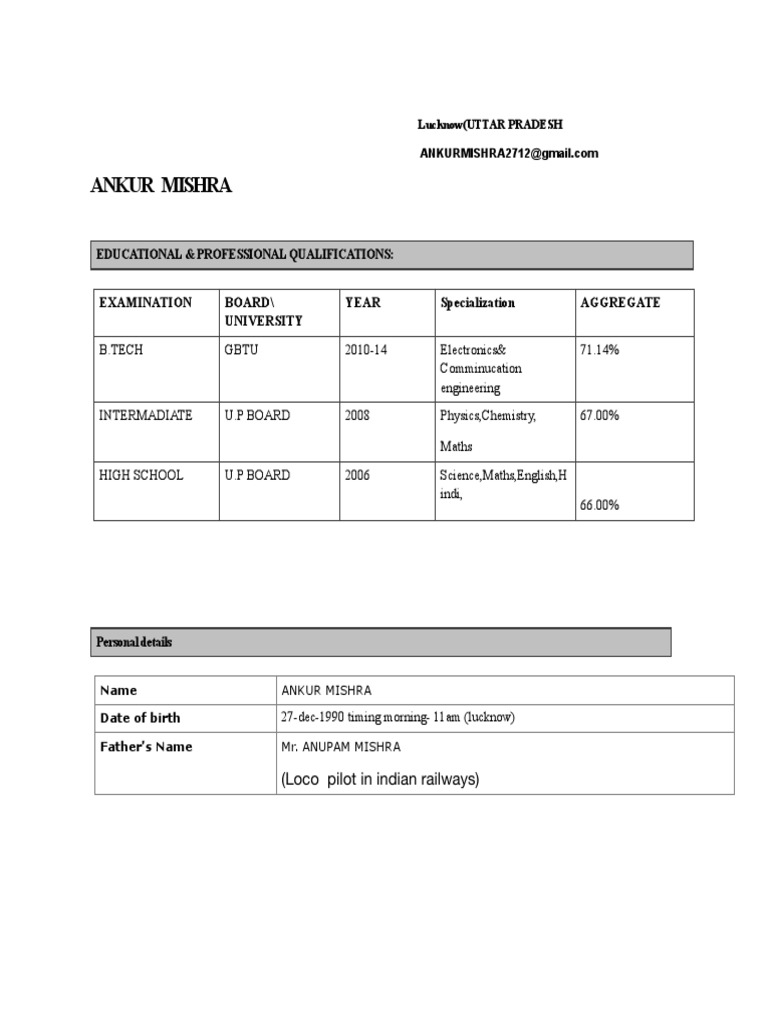 Ankur's Bio Data PDF | PDF