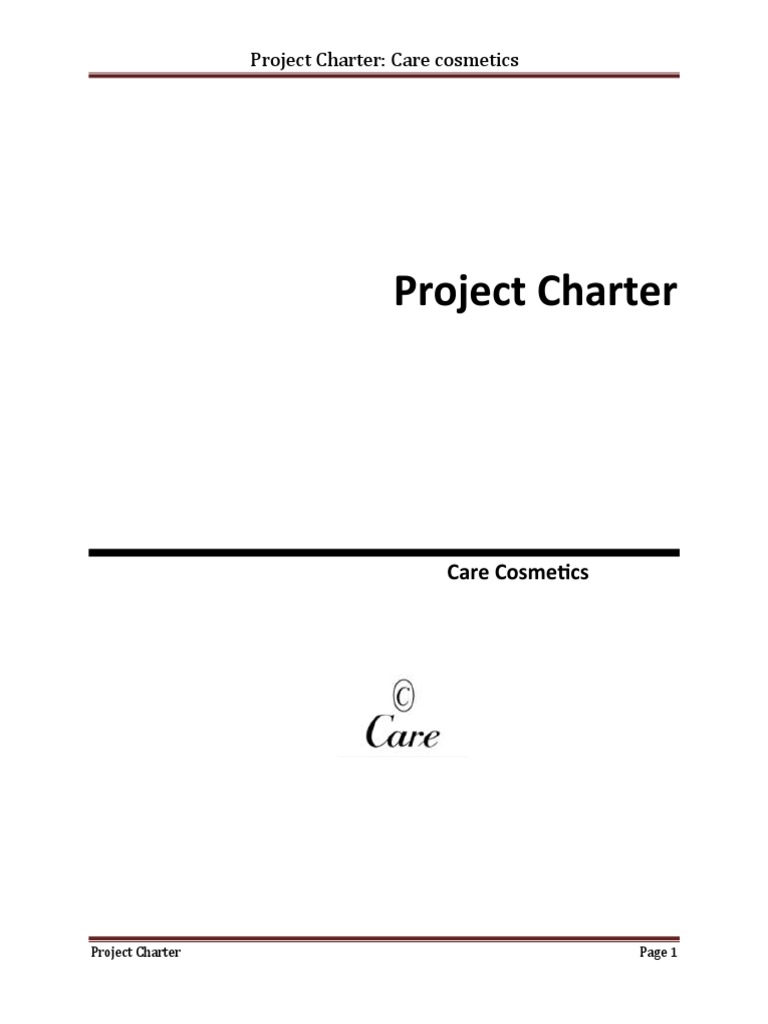 Hassan BBHM-S20-102 Project Charter Assignment | PDF