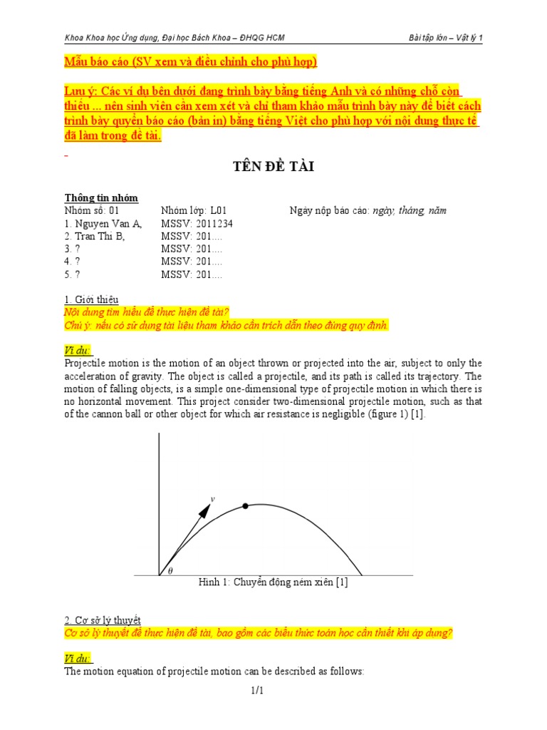 Mau Bao Cao BTL - Vat Ly 1 - HK221 | PDF