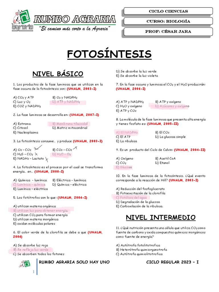 Fotosíntesis y Respiración Celular | PDF