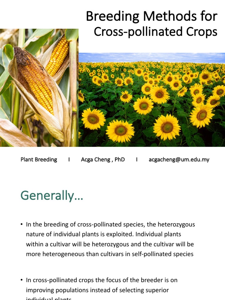 Breeding Methods for Improving Cross-Pollinated Crop Populations: A ...