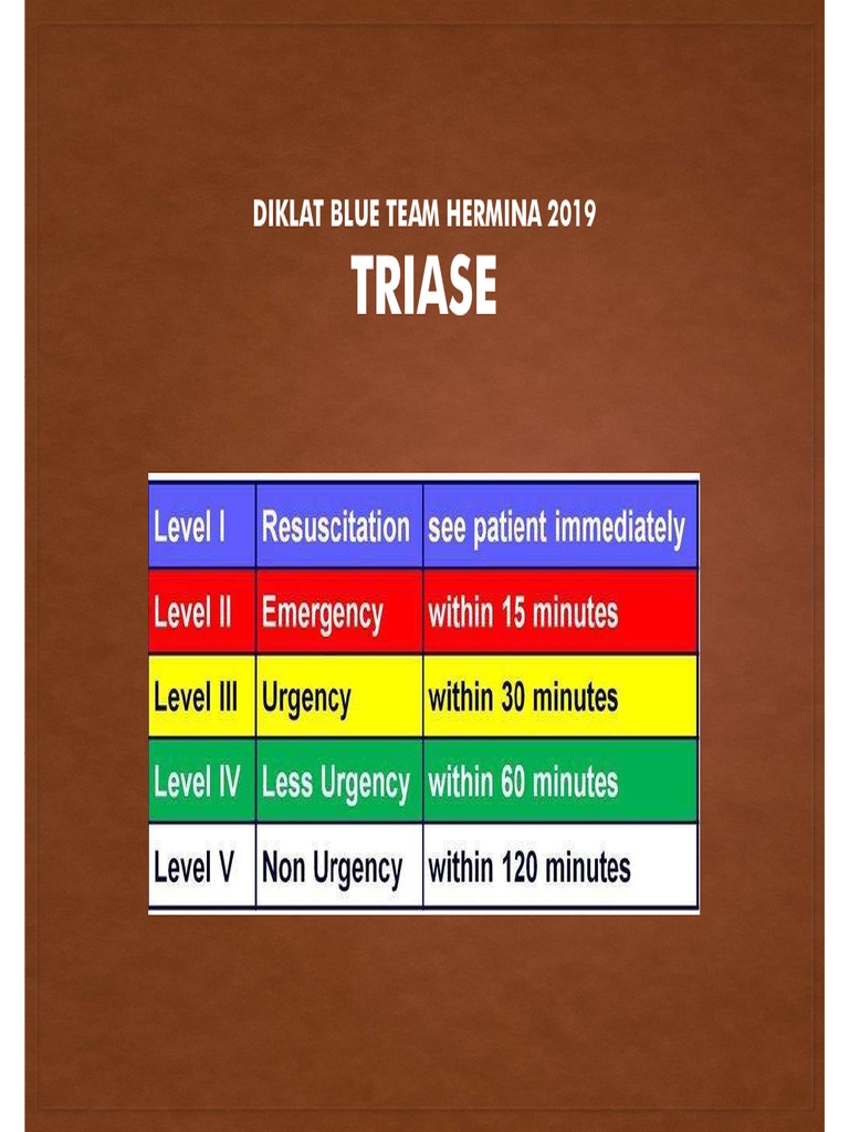 Triage PDF | PDF