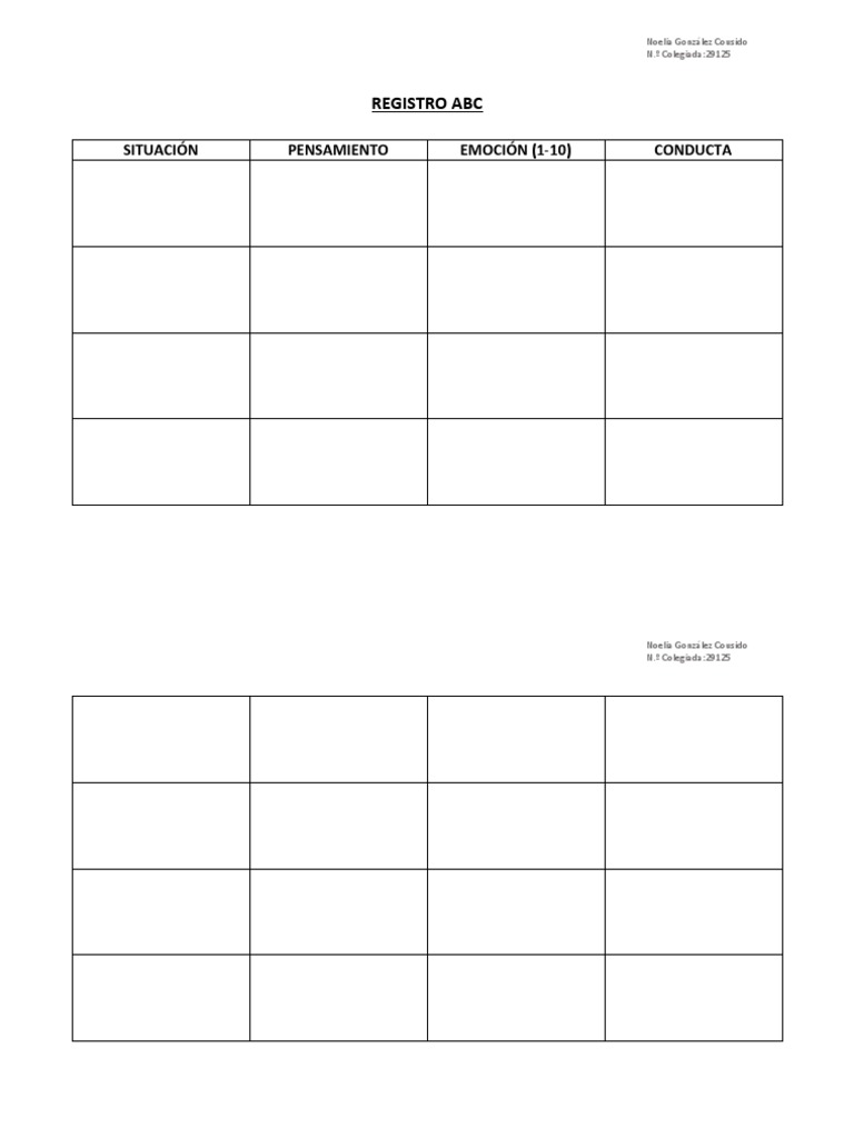 REGISTRO ABC.docx | PDF