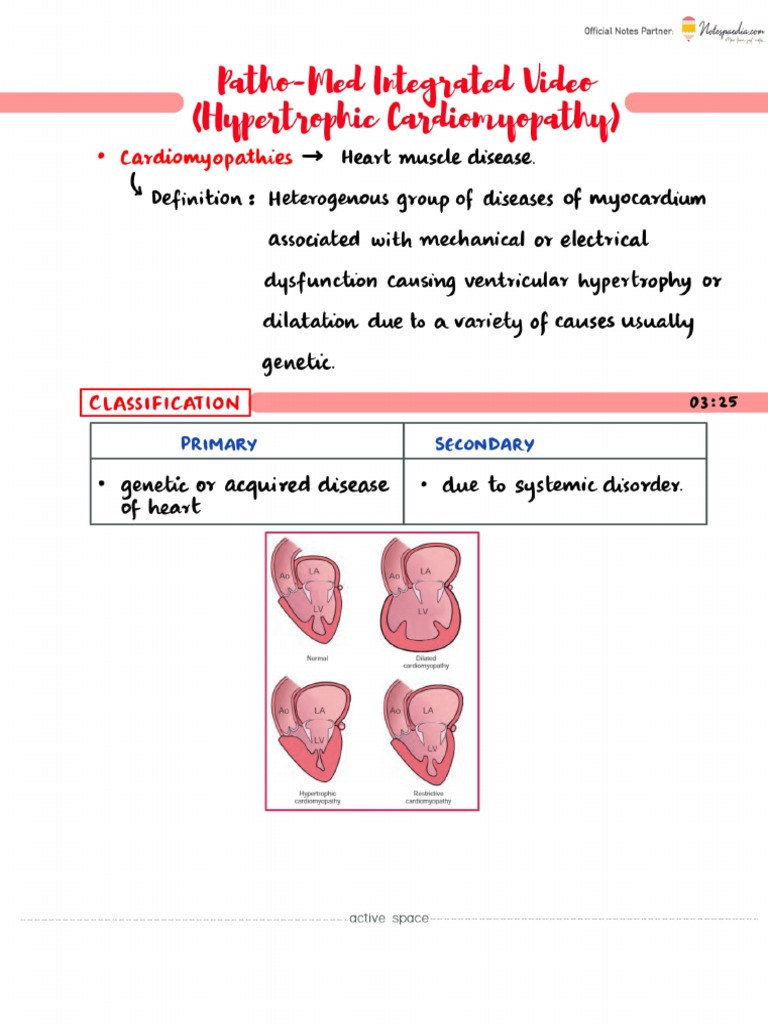 Integrated Videos PDF | PDF