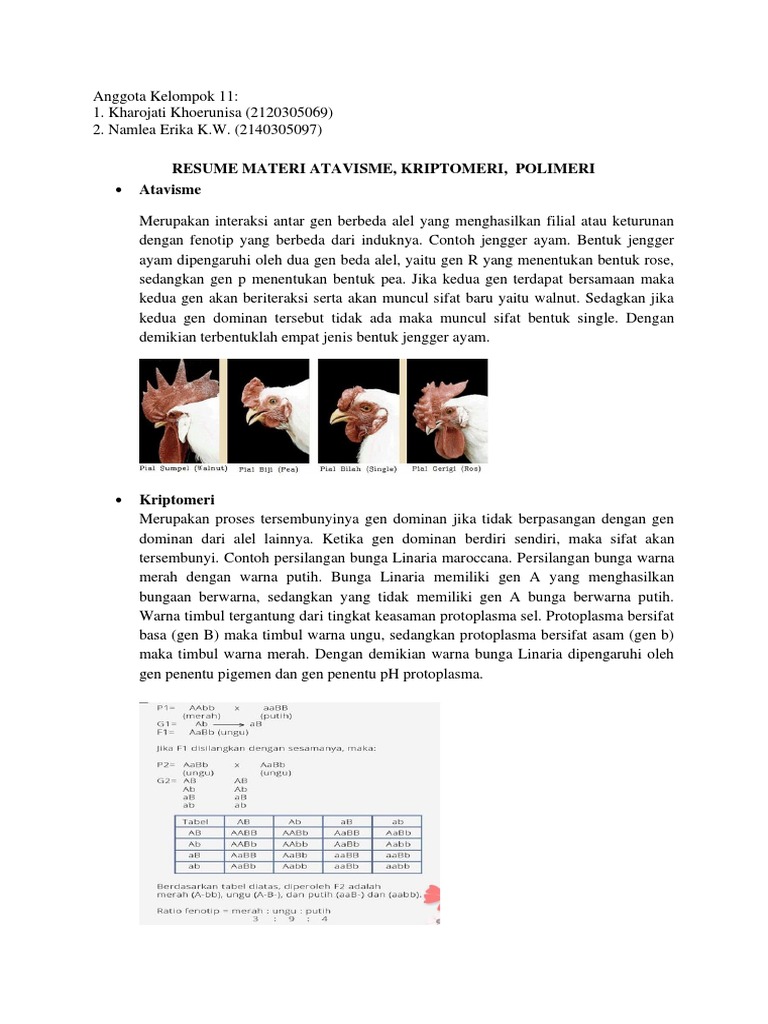 Atavisme, Kliptomeri | PDF