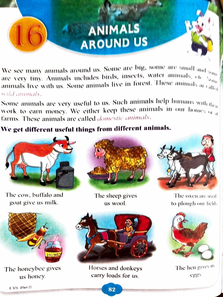 16 Animals Around Us PDF | PDF