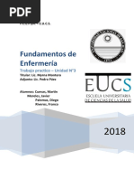 Formato Del Plan de Atención de PES | PDF | Diagnostico medico | Enfermería