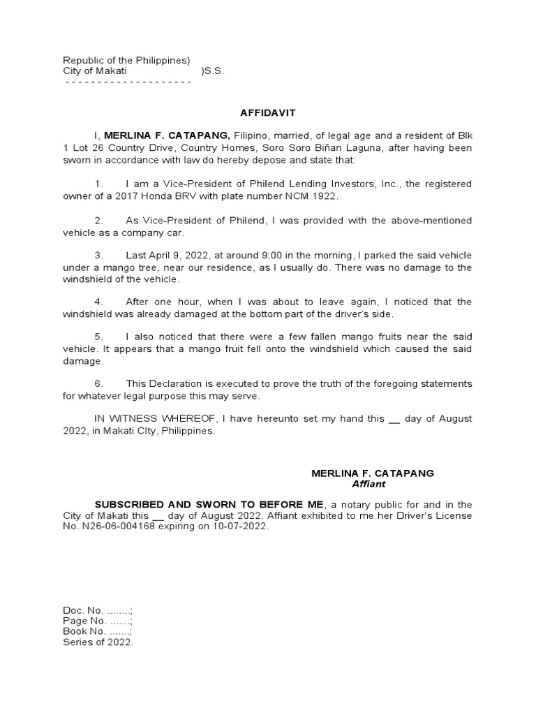 Affidavit of Damage (Ms. Merl) | PDF | Business