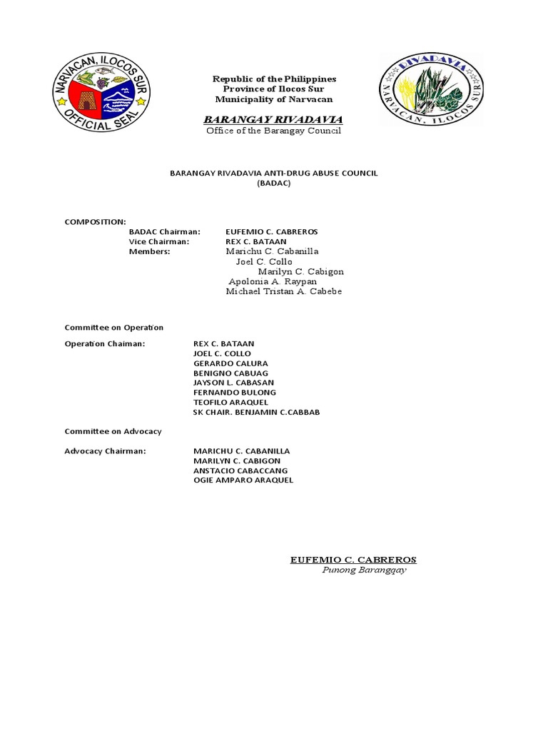 BADAC ORGANIZATION CHART.docx | PDF