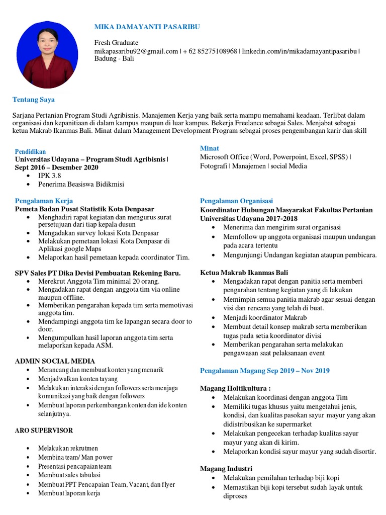 CV Mika D Pasaribu PDF | PDF