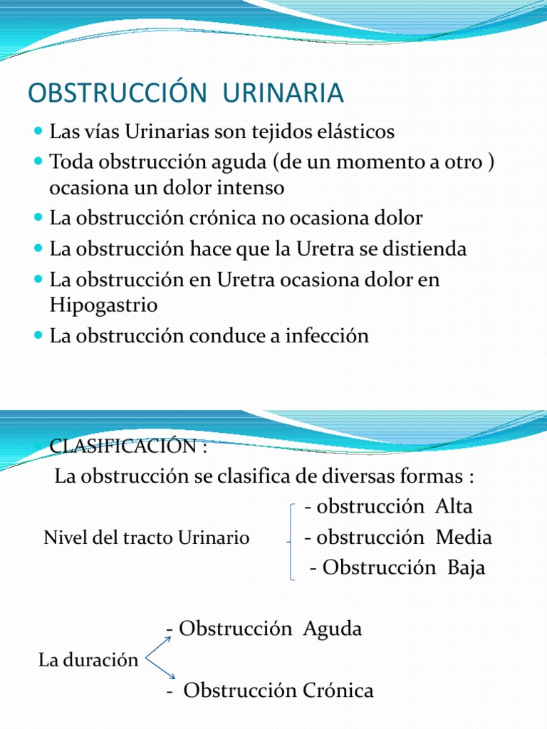 OBSTRUCCIÓN URINARIA | PDF