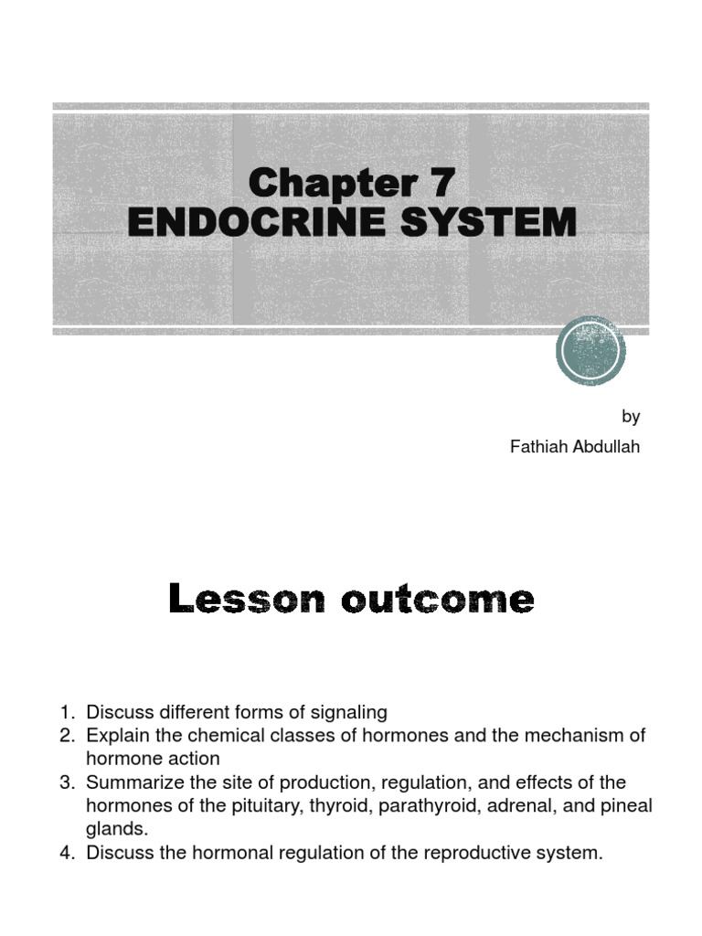 Chapter 7 - Endocrine System PDF | PDF