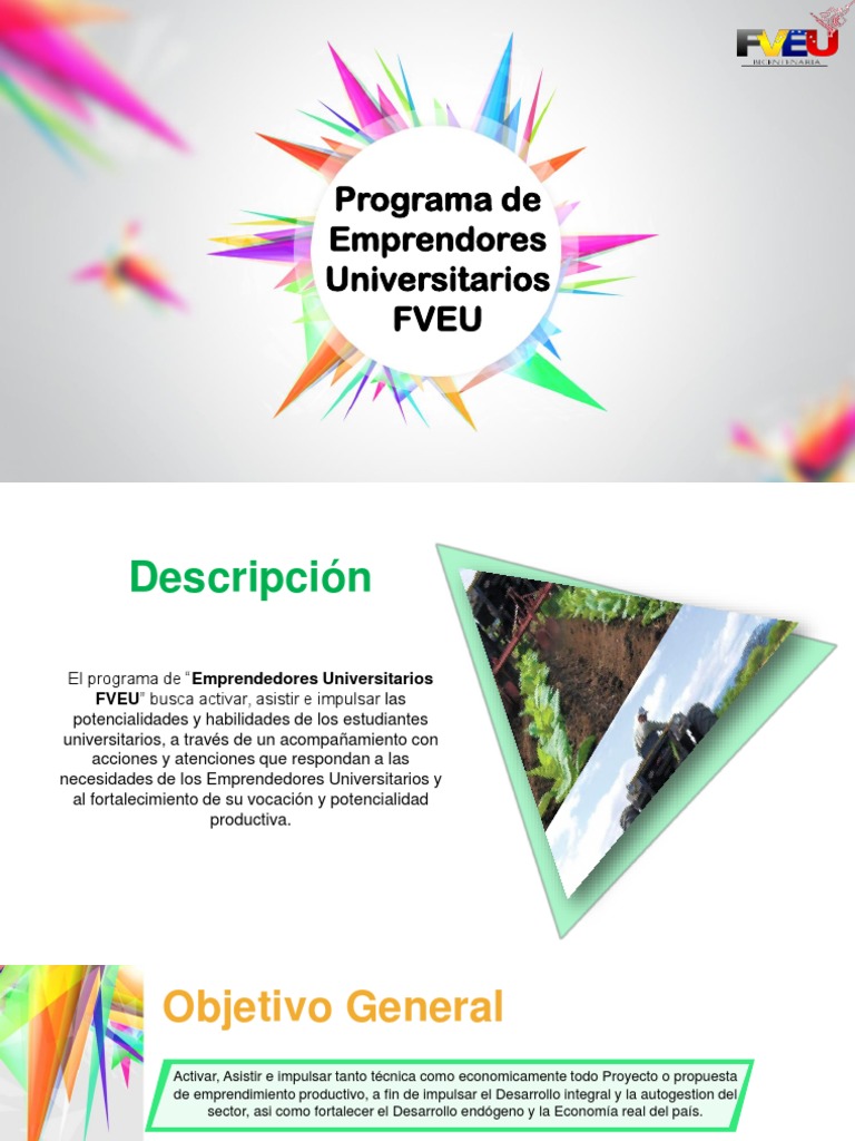 Programa de Emprendimieto FVEU PDF | PDF | Iniciativa empresarial ...