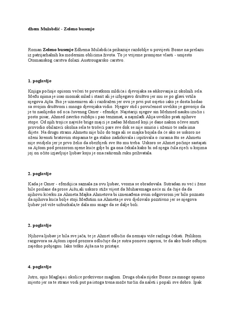 Zeleno Busenje Edhem Mulabdić | PDF