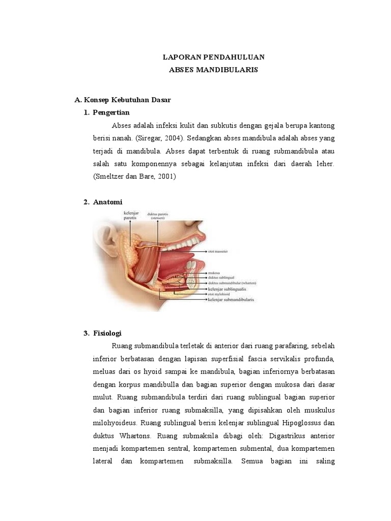 LP Abses Mandibula | PDF