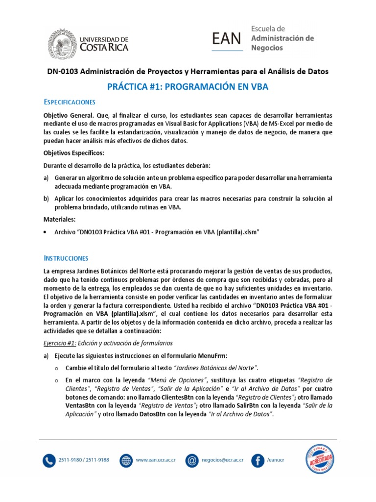 DN0103 Práctica VBA #01 - Programación en VBA (Instrucciones) | PDF
