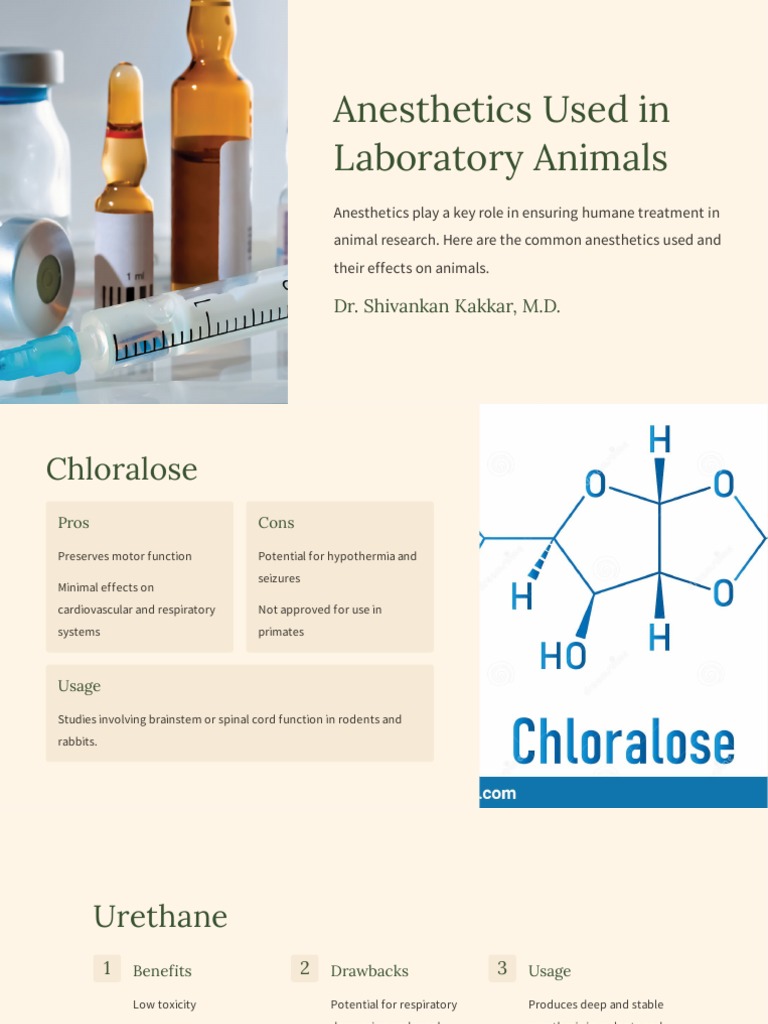Anesthetics Used in Laboratory Animals | PDF | Anesthesia | Animal Testing