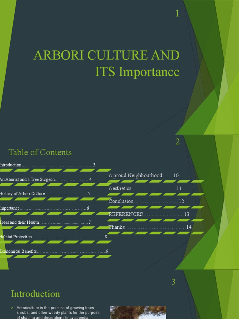 Arbori Culture and Its Importance | PDF
