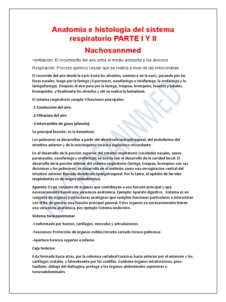 Respi 1 y 2 PDF | PDF | Pulmón | Tórax