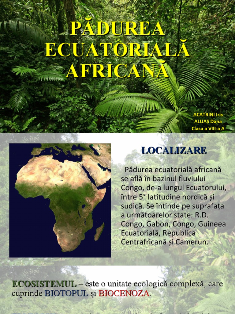 Padurea Ecuatoriala | PDF