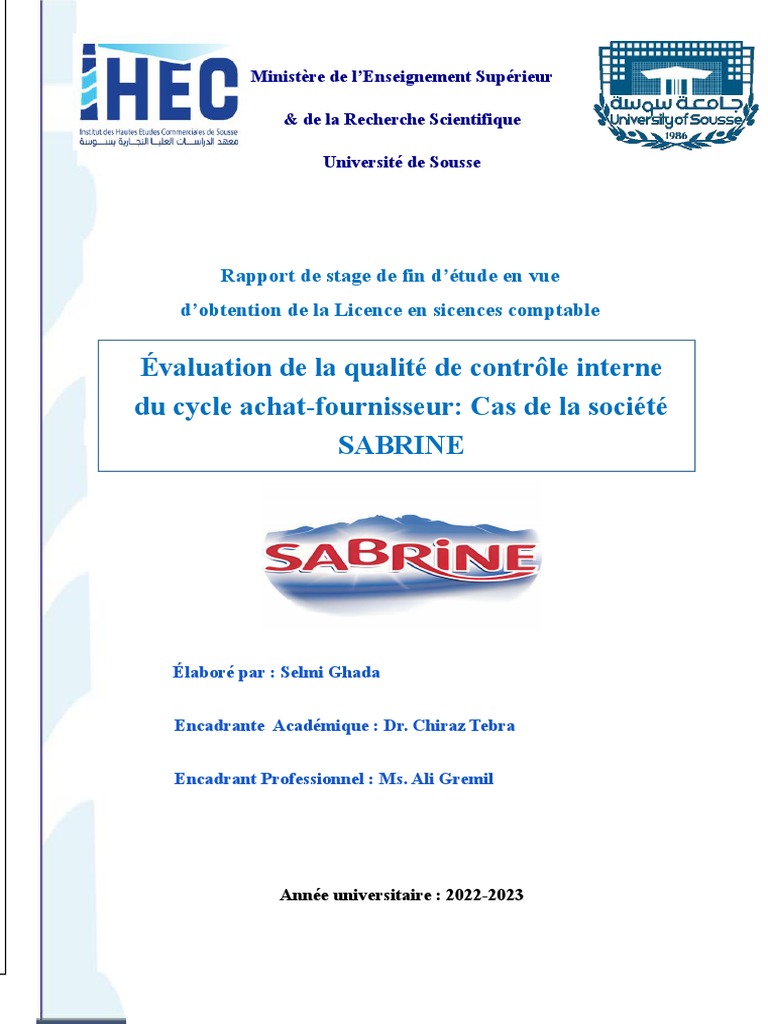 PFE Audit Cycle Achat | PDF | Évolution de carrière
