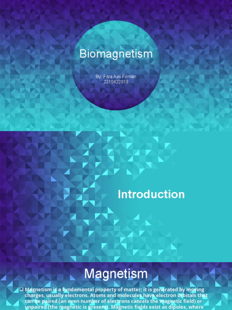 Biomagnetism | PDF