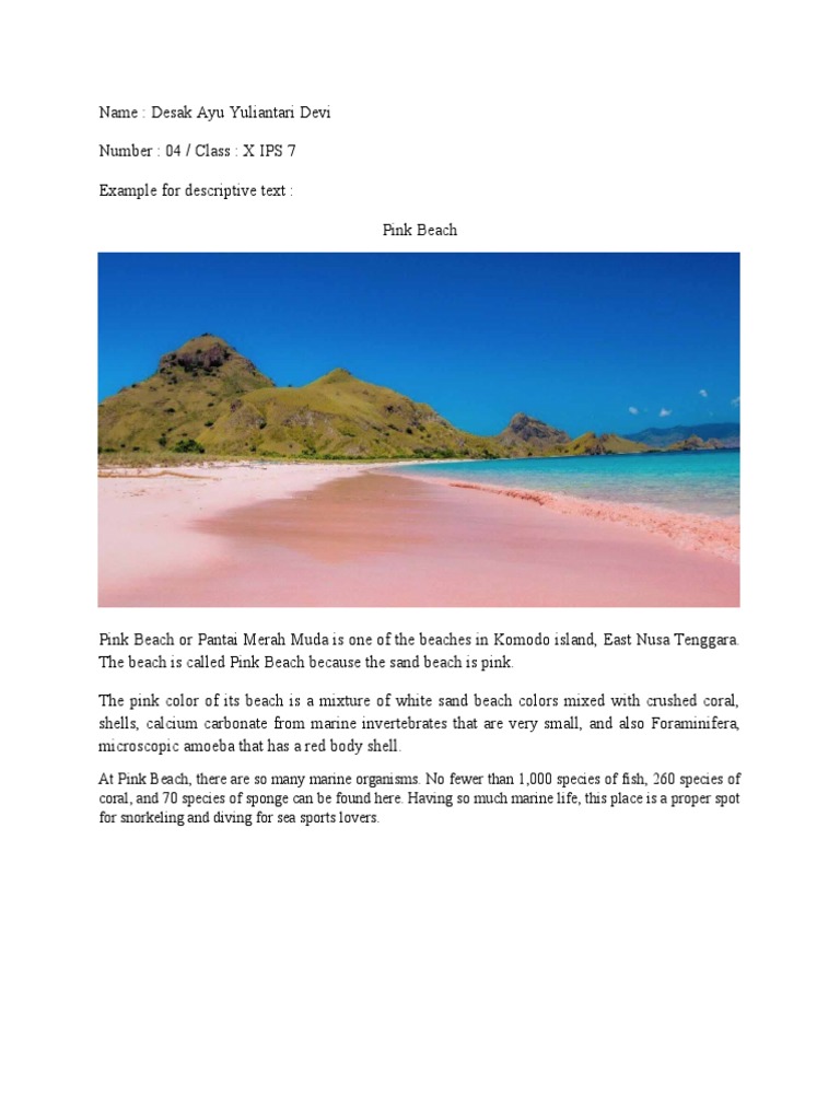 Descriptive Text on Pink Beach | PDF