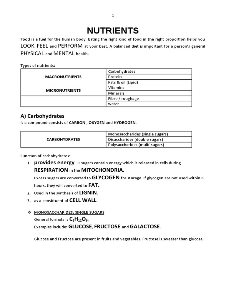 Nutrition Essentials for Mammals | PDF | Digestion | Carbohydrates