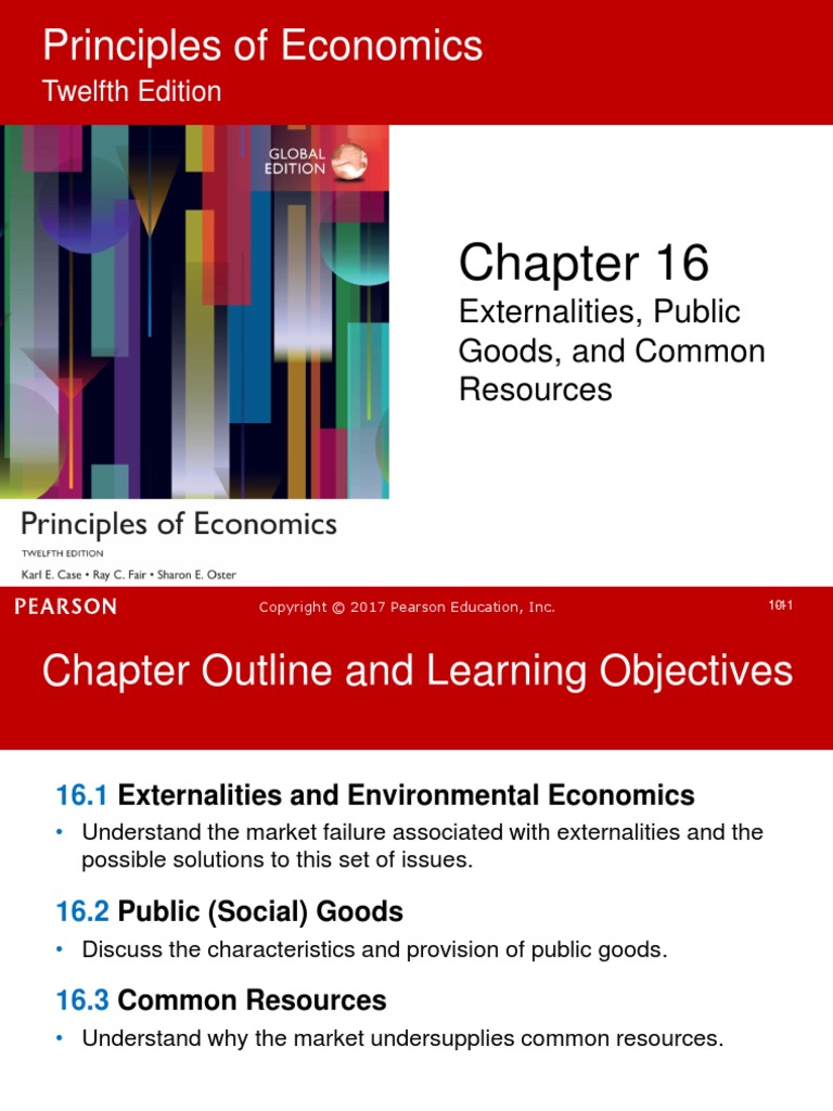 13 Externalities, Public Goods, and Common Resources PDF | PDF