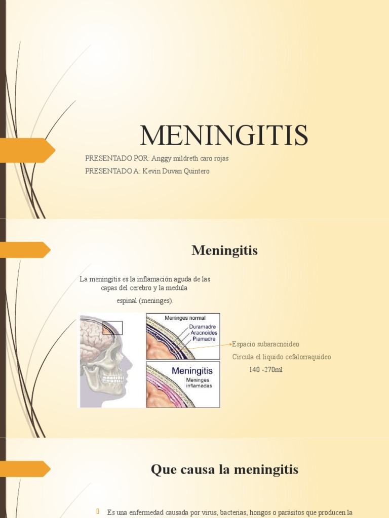 MENINGITIS | PDF | Meningitis | Medicina CLINICA