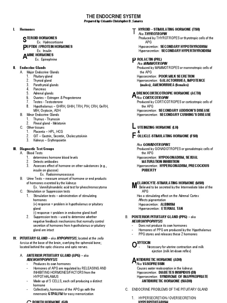 The Endocrine System | PDF | Adrenal Gland | Hypothyroidism
