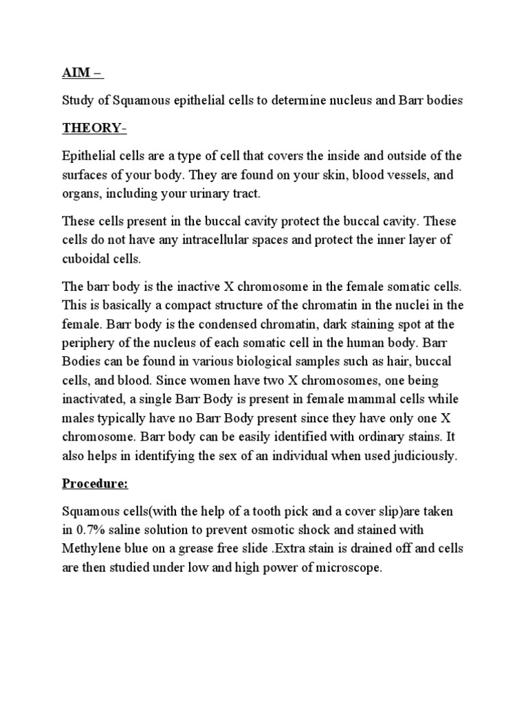 Squamous Cells & Barr Body Analysis | PDF | Science & Mathematics